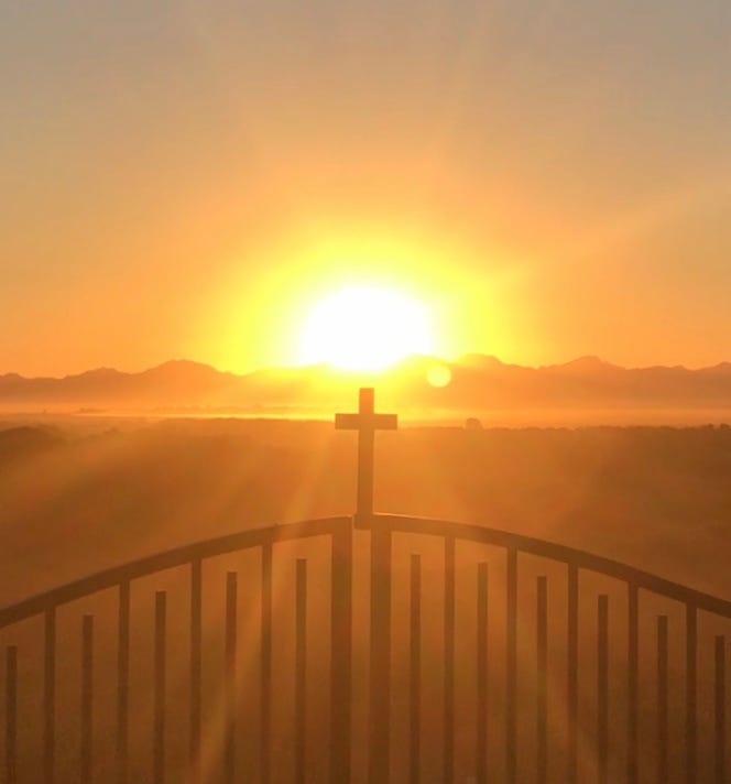 Food for Thawt Ever catch a glimpse of heat coming off the ground or ...