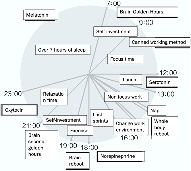 What our brain tells us about time management | by Stella Xu | Medium