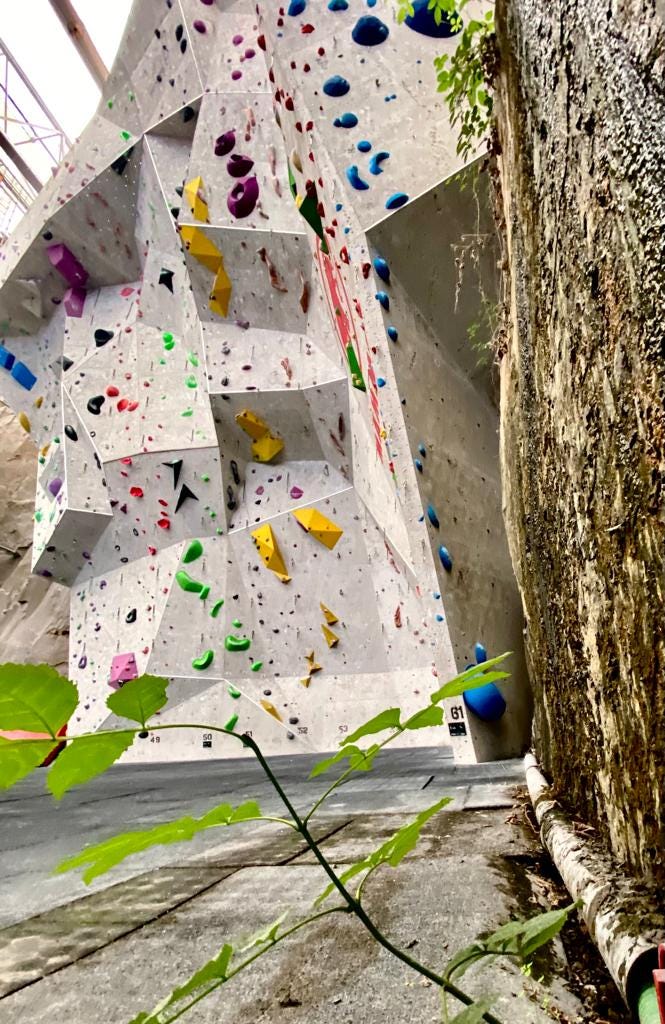 A Journey Through Time and Space: Bridging Our Past and Future for Sustainable Innovation | by ...