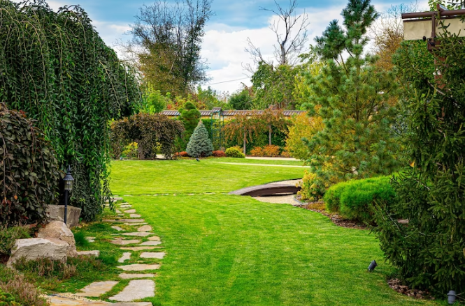 Serene Landscape Design
