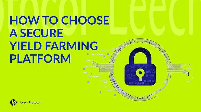 Инструкция от Hacken: Как да изберем сигурна платформа за отглеждане на ...