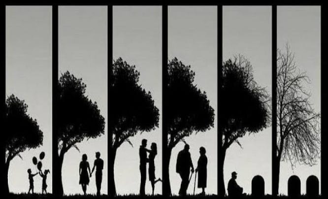 CYCLE OF LIFE People aren’t meant to stay in your life forever. Even if ...
