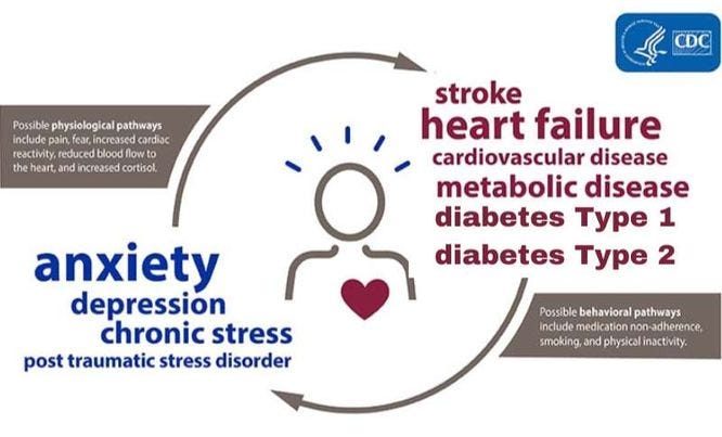 Mastering Stress for Diabetes and Heart Health: A Comprehensive Mind ...