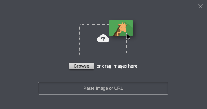 File Uploads In Selenium WebDriver | by Brian Grogan Jr. | Qualitas Ex ...