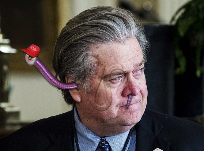 Murder in the White House. Totally not-made-up odds of who will… | by ...