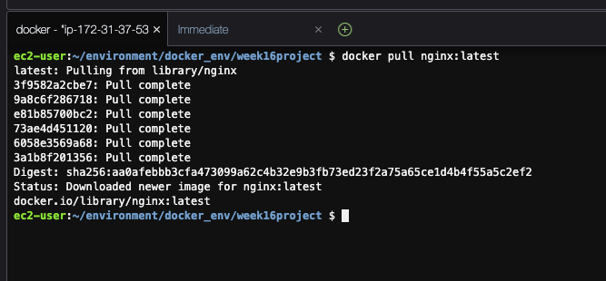 Docker Creating Nginx Image And Pushing It To Aws Ecr By Hindolo Charlie Mar 2023 Medium