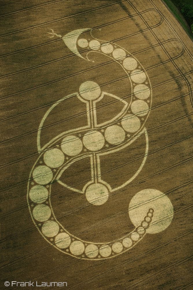 The Mystery of Crop Circles and Their Intriguing Meanings | by Raina ...