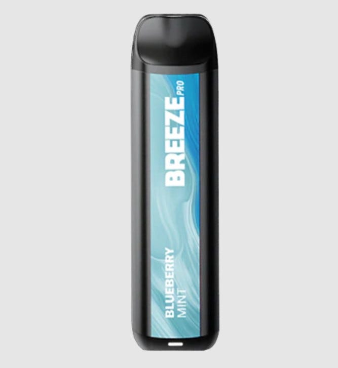 Blueberry Mint Breeze Pro 6ml 2000 Puffs Disposable Vape Device - Damon ...