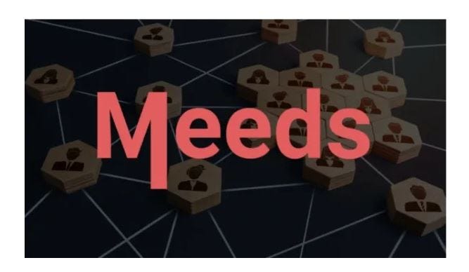 Come Meeds DAO si inserisce nel quadro più ampio | by Happinessscotts ...