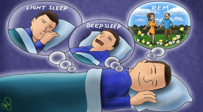 Sleep Architecture. Some of you may know what healthy sleep… | by Sepi ...