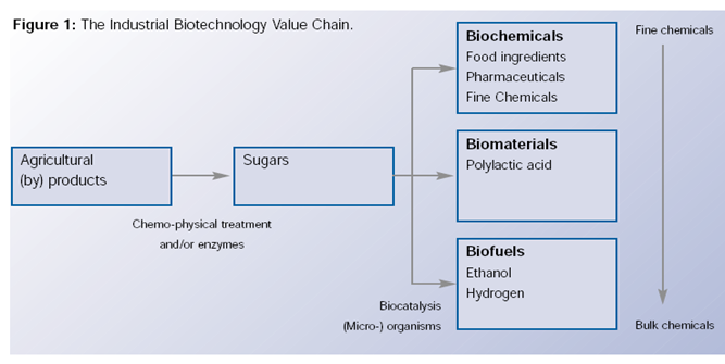 INDUSTRIAL BIOTECHNOLOGY. Contents | by Mahnoor Saleem | Medium
