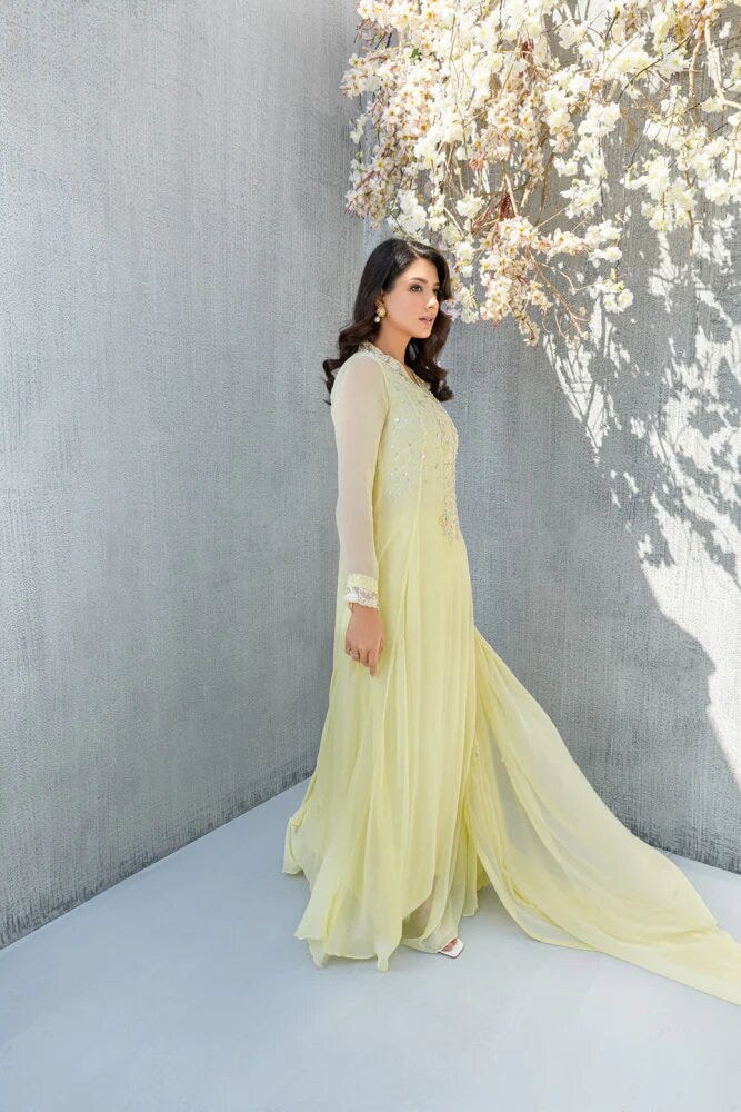 Pakistani Traditional Clothes. Frocks are a great option for formal ...