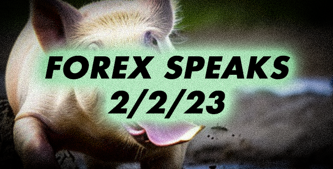 DRIP/Animal Farm: Forex Gives MAJOR UPDATES! 2/2/23 | by ...