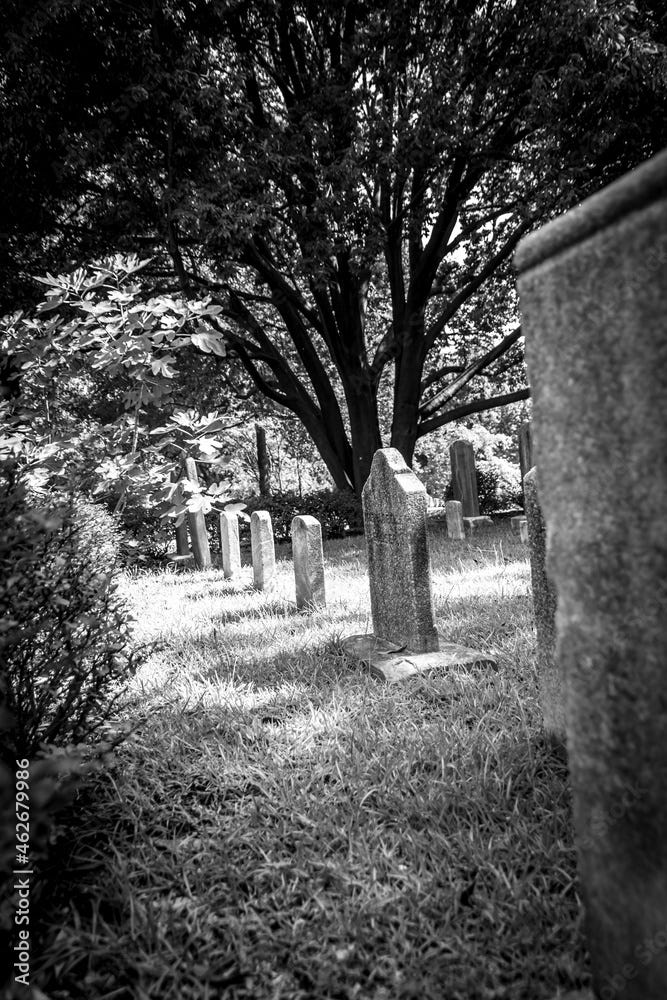 The Death of Phineas. I never really liked Phineas. | by Ogbu chioma ...