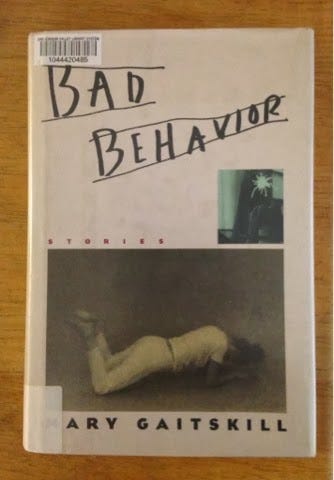Bad Behavior Mary Gaitskill