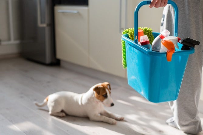 Comprehensive Guide on Pet-Friendly Cleaning Products - Sparkling ...