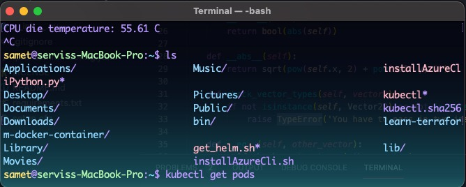 A Guide to Aesthetically Pleasing Terminal | by Sam Ozturk | Medium
