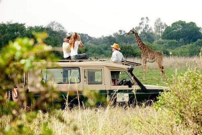 On Safari: Exploring Wildlife Safaris Tour Tanzania And Kenya | by My ...