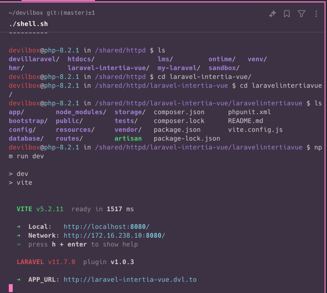 Troubleshooting Guide: Setting Up Vite and Laravel in Devilbox for ... Troubleshooting Guide: Setting Up Vite and Laravel in Devilbox for ...