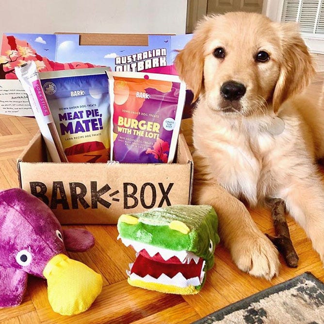 Top 10 Toys from Bark Box. Top 10 of your furry friends calm… | by ...
