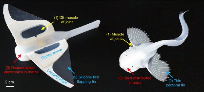 Self-powered soft robot reaches the Mariana Trench | by Materials ...