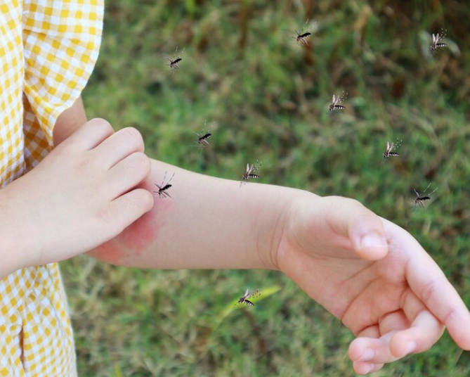 6 Pranic Healing Methods for Dengue Fever Recovery | by Thehappysoul ...
