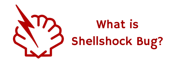 Shellshock Exploit A New Directory Typically Named By Whitebear82