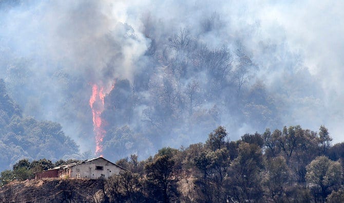 Algeria issues death sentences over wildfire killing - Abegail Jacob - Medium