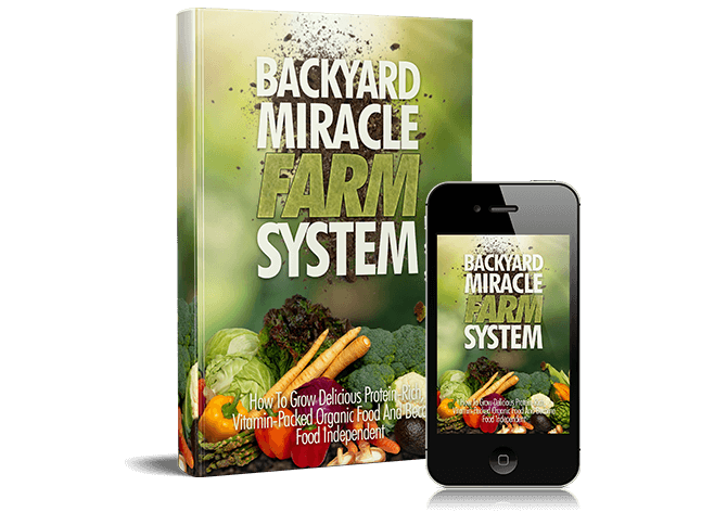 Backyard Miracle Farm | Cultivating Hope and Abundance | by Wilma ...