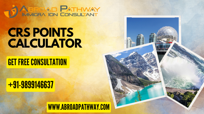 Calculating Success: How to Maximize Your CRS Points for a Canadian PR ...