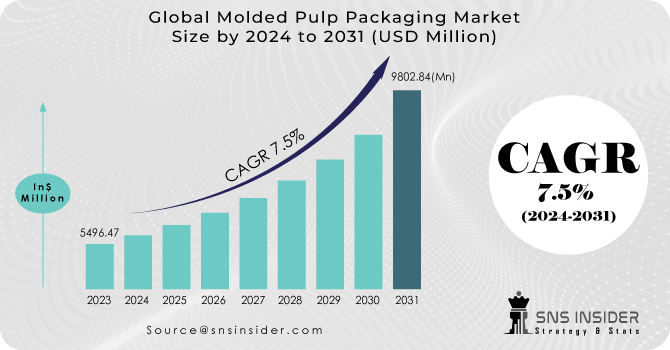Molded Pulp Packaging Market Share Global Trends, and Opportunities ...
