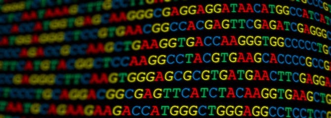 CS50 2020 Pset 6: DNA. tl;dr: implementing a program that… | by SF | Medium