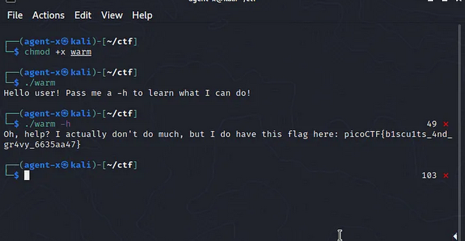 picoCT : Wave A Flag Challenge - USKI - Medium