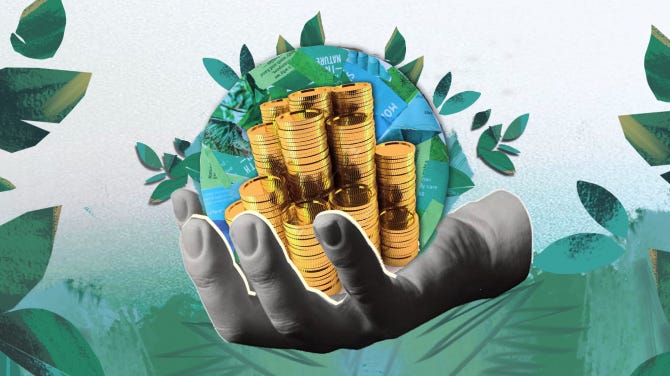 Get paid more for protecting the planet (than destroying it) | by AimHi ...
