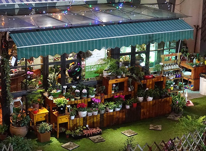 Dual Spectrum LED Grow Light. The dual spectrum Led grow light bulbs ...