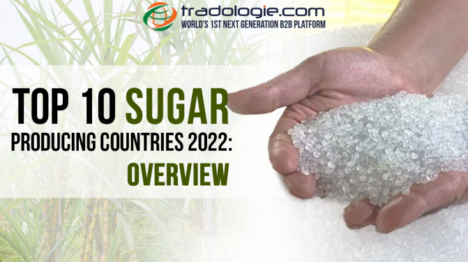 Top 10 Sugar Producing Countries 2022: Overview | by Preeti Sharma | Medium