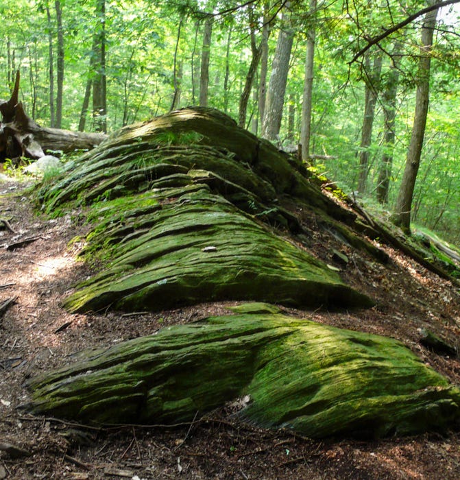 ANIMIST ROCK. Animist Rock | by David Hunt | Rewild Earth — Toward Post ...