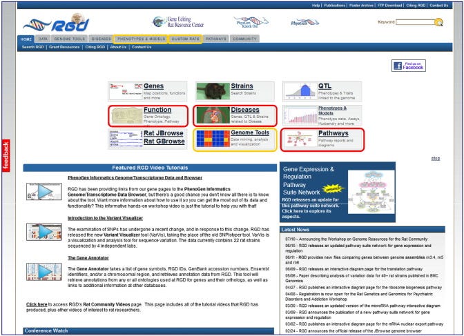 Disease, Models, Variants and Altered Pathways — Journeying RGD Through the Magnifying Glass ...