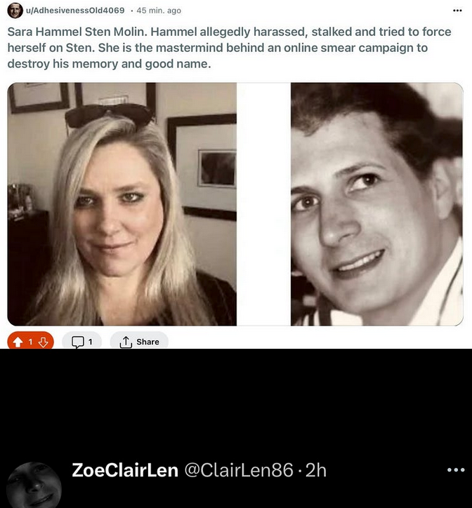 Stalked over AA587 Pilot Sten Molin: The Big Mistake | by Sara Hammel ...
