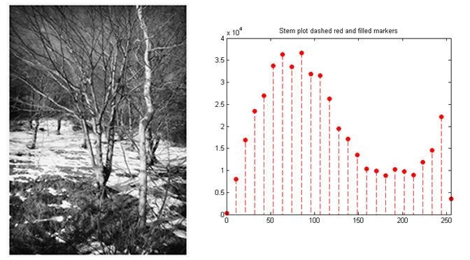 Image histograms with Matlab. Reading an image and getting… | by Hdemo ...
