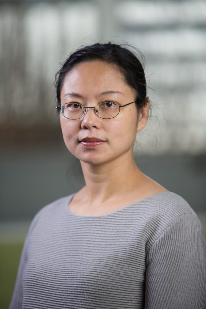 An interview with Kailing Shen an ANU Labour Economist | by Rabee ...