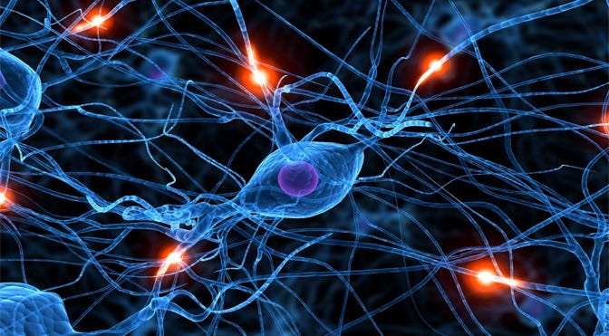 Deep learning at work. Intelligence is core to SmarterMe’s… | by Darwin ...