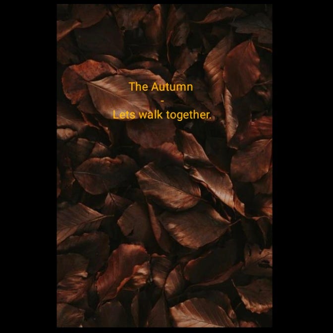 Season. The Autumn — Lets walk together Do you… | by Uphoria | Medium