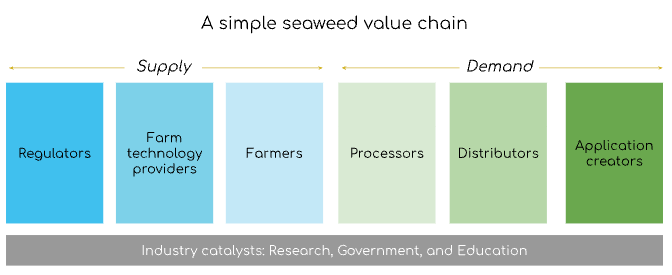 A simple seaweed value chain. An overview of the industry and the… | by ...