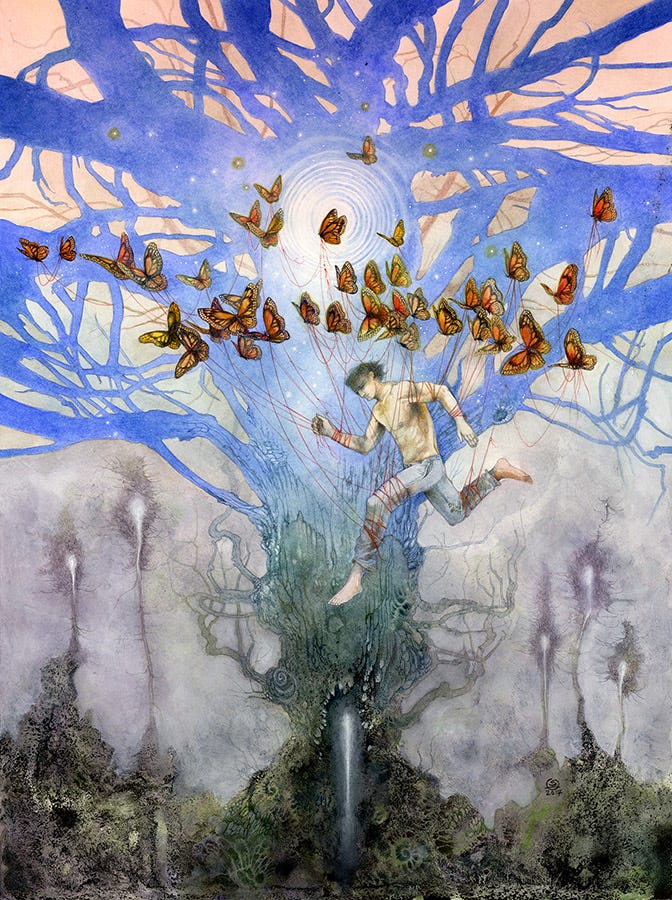 Discovering the Houdini Within. A true tale of art, insects, and… | by ...