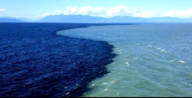 REASONS TO WHY PACIFIC AND ATLANTIC OCEANS DON’T MIX.. | by Elieth ...