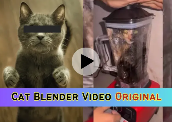 Watch~[VIRAL] Cat Blender Video On Twitter Original | by Collgervaislk | Medium