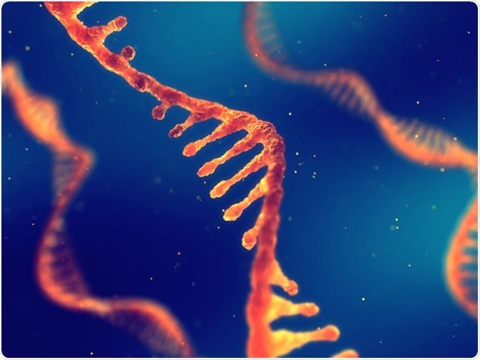 Rna Structure 3d