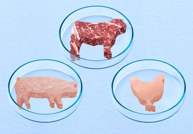 Cellular Agriculture: Are labs the farms of the future? 🧫 | by Zaki ...