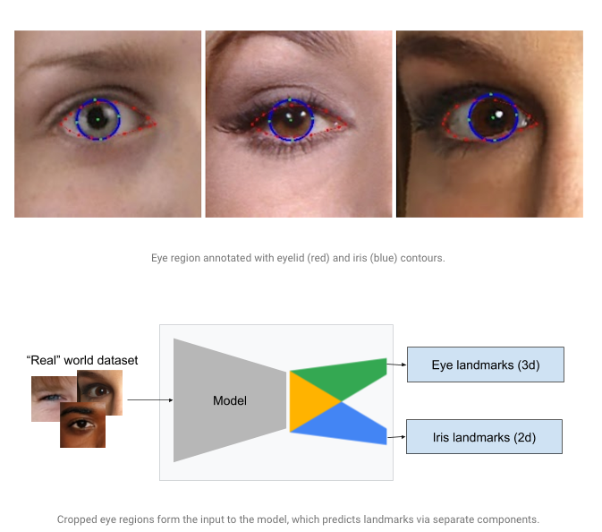 MediaPipe Iris : 目のキーポイントを検出する機械学習モデル - ailia - Medium